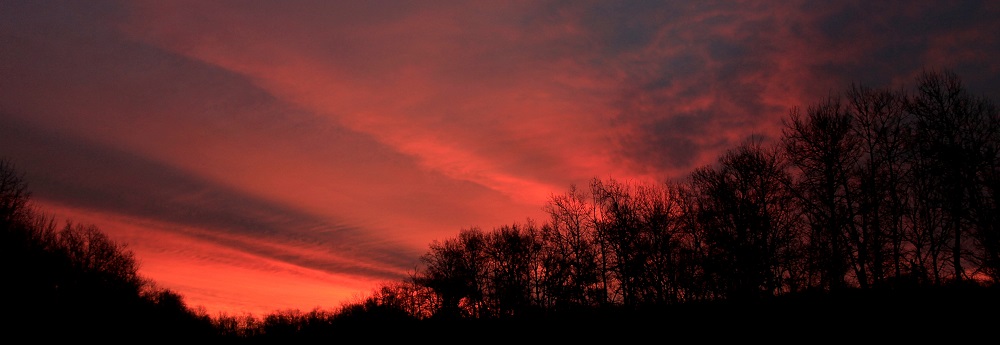 A Good Morning From Northern Wisconsin – garyfultz