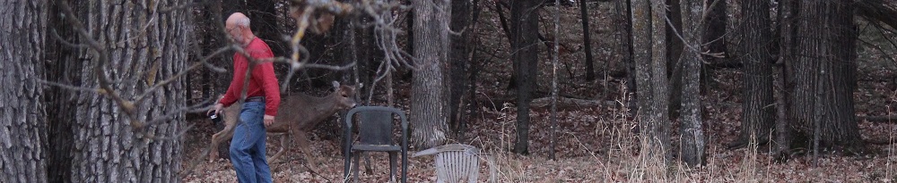 The Old Doe – garyfultz