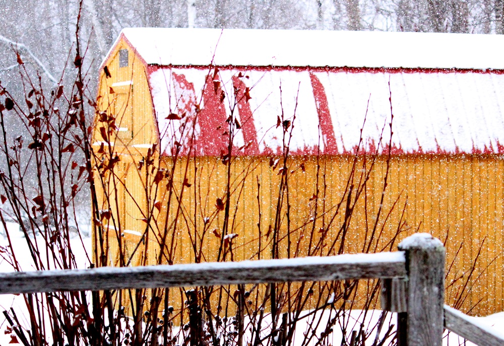 Seeing is Believing Maybe Sometimes – garyfultz