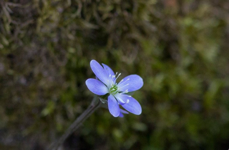 garyfultz – Foundational Life Truths stories and pictures