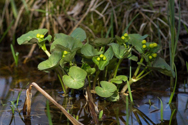 garyfultz – Foundational Life Truths stories and pictures