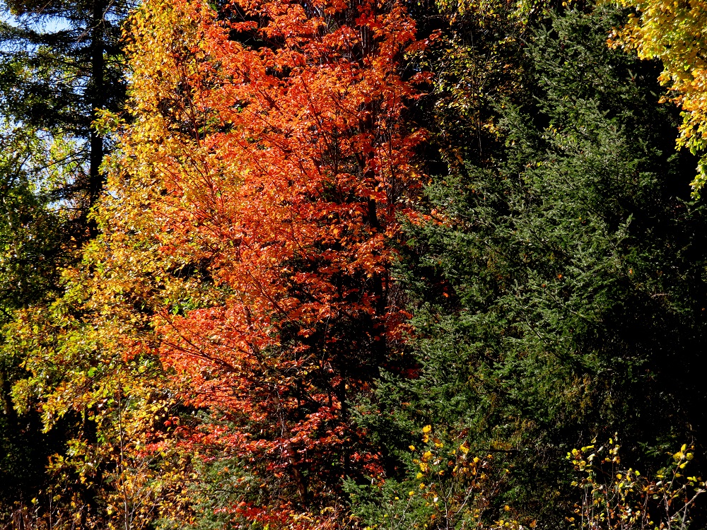 garyfultz – Foundational Life Truths stories and pictures