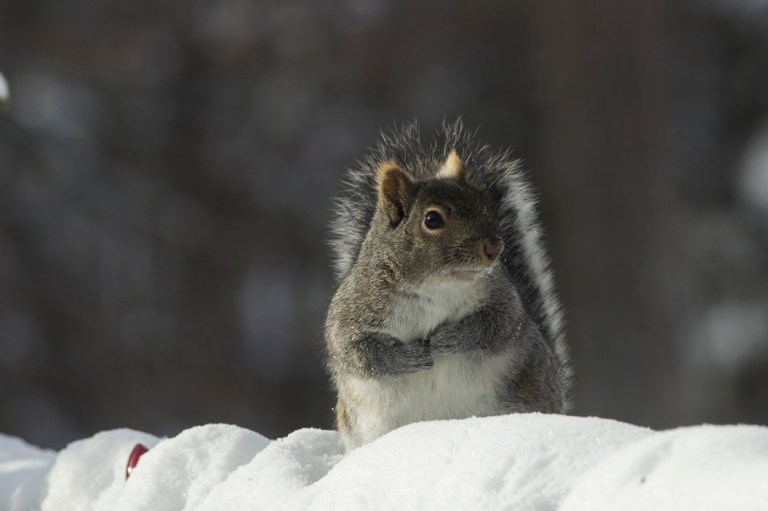 garyfultz – Foundational Life Truths stories and pictures