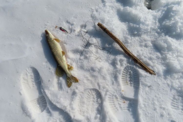 garyfultz – Foundational Life Truths stories and pictures