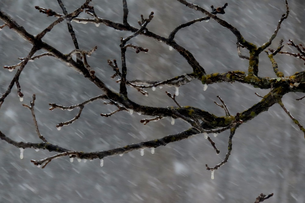 Seasonal War – garyfultz