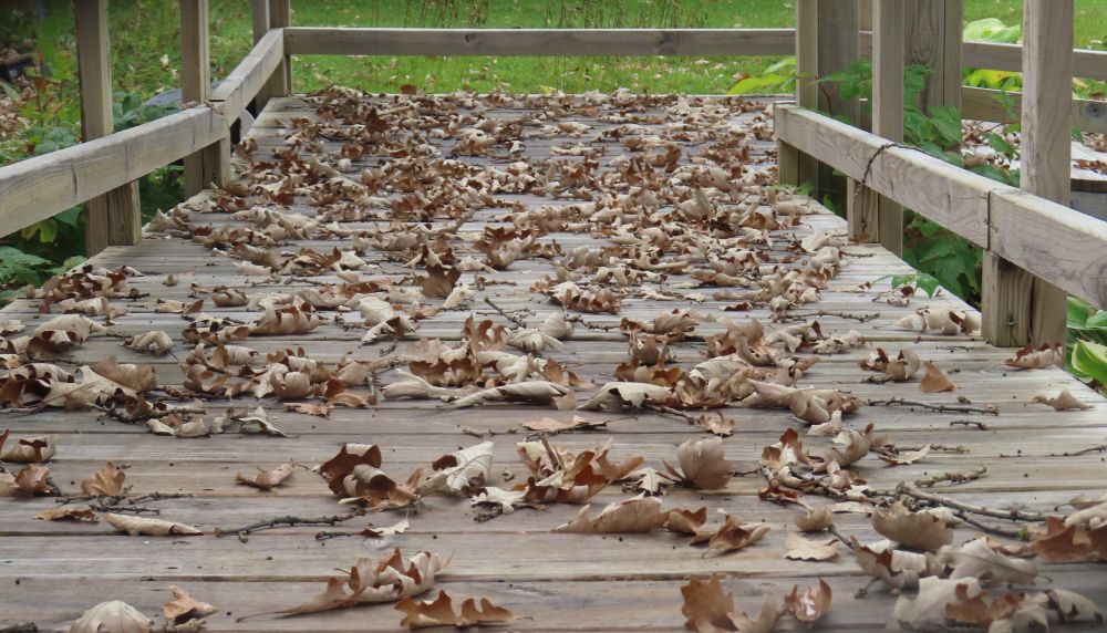 Letting Go – garyfultz